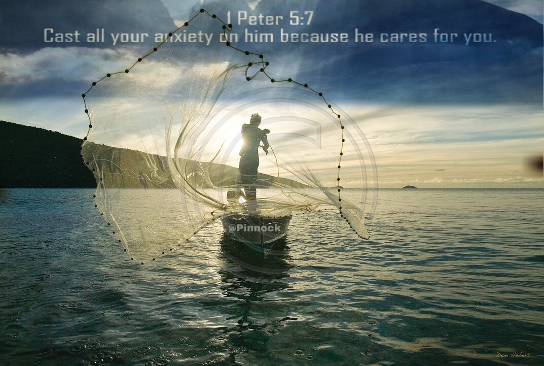 Net Cast Quotes